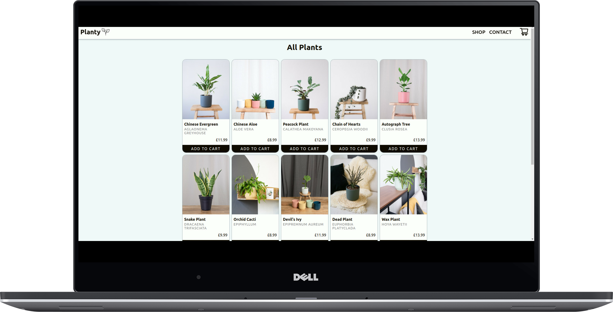 Aidan Mckenzie | Front End Developer